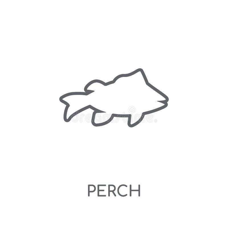 Perch Outline Icon. Isolated Line Vector Illustration from Animals ...
