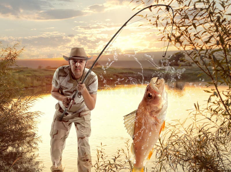 Perch. Man fishing stock image. Image of landscape, spinning - 60364087