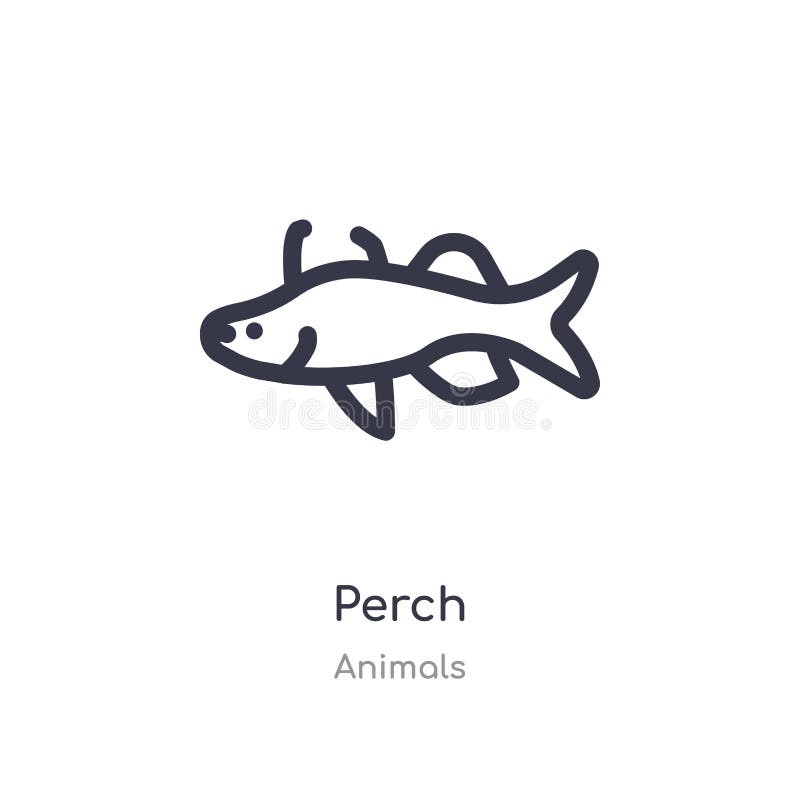 Perch Outline Icon. Isolated Line Vector Illustration from Animals ...