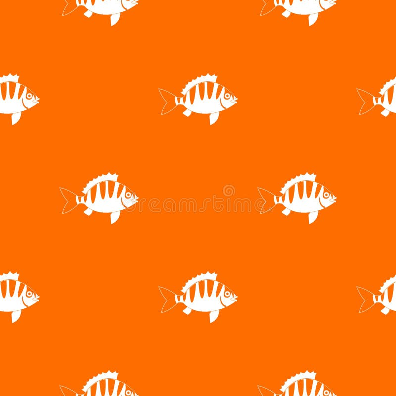 Perch pattern seamless stock vector. Illustration of perca - 98450008