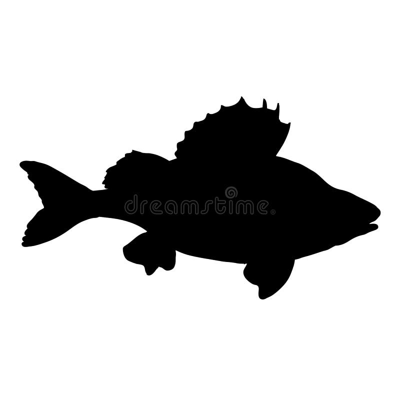 Perch Silhouette Fish Vector Illustration Stock Vector - Illustration ...