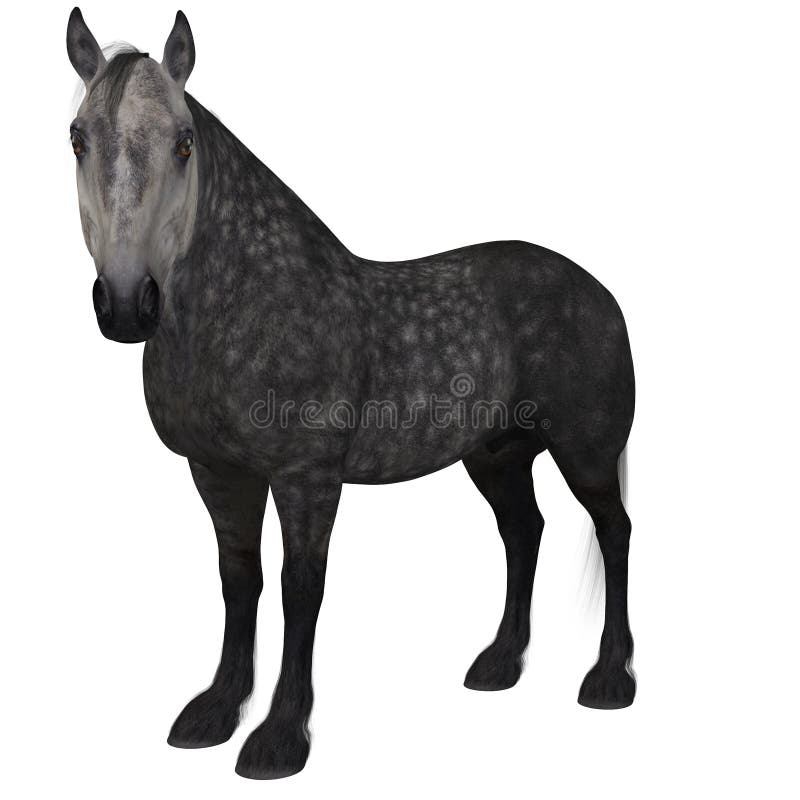 Horse Percheron Stock Illustrations – 60 Horse Percheron Stock ...