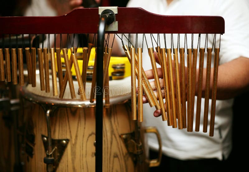Percussão foto de stock. Imagem de concert, combo, instrumento - 12421956