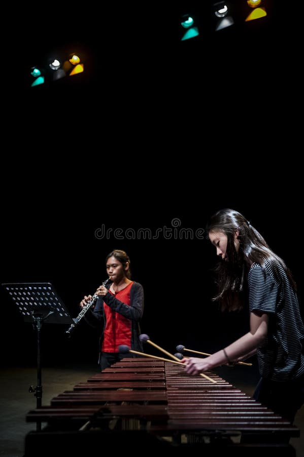 Percussion Player editorial image. Image of performing - 62019025