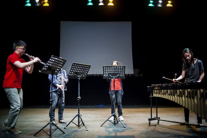 Percussion Player editorial stock image. Image of artists - 62019054