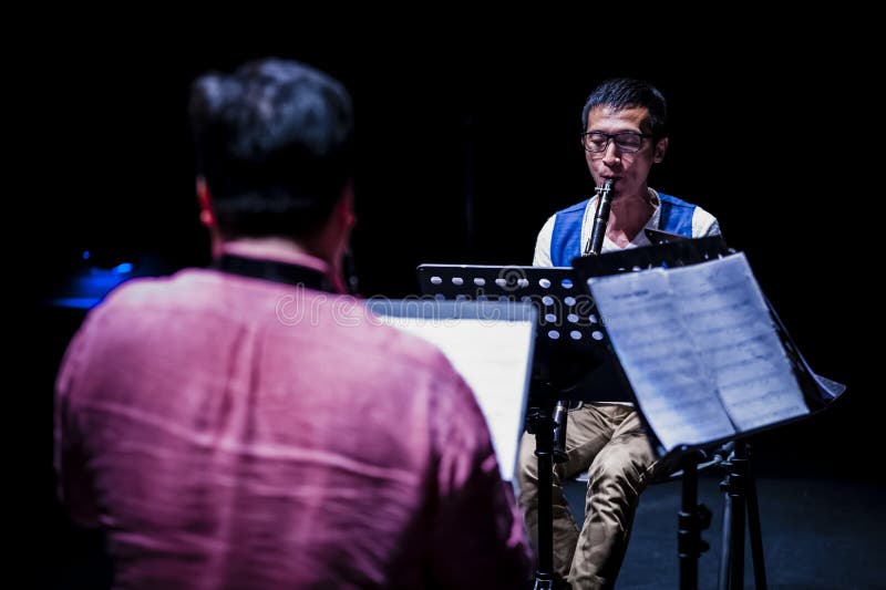 Percussion Player editorial stock image. Image of performers - 62019239