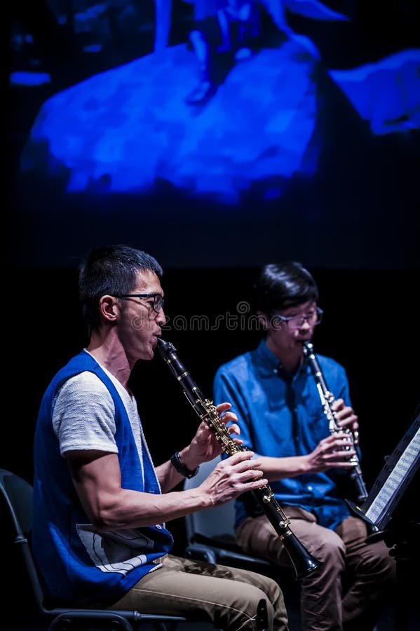 Percussion Player editorial photo. Image of sound, notes - 62019261