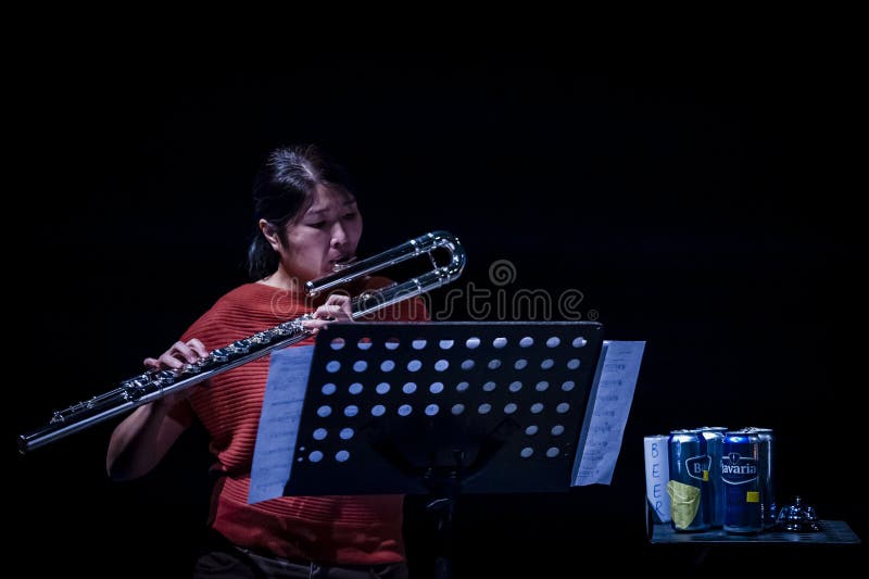 Percussion Player editorial photo. Image of notes, life - 62019441