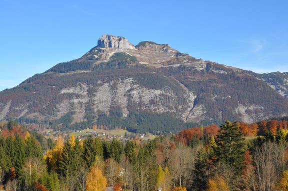 Perdente in Austria immagine stock. Immagine di bello - 22042637