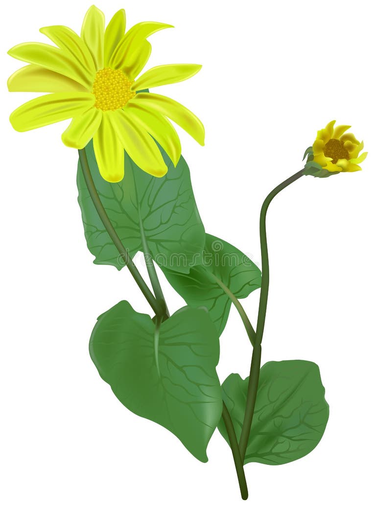 Perdición Ilustraciones Stock, Vectores, Y Clipart – (1,044 ...