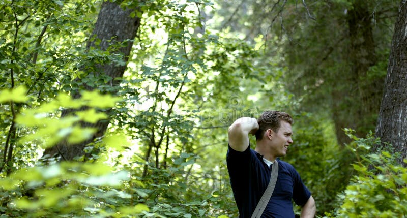 Perdido en el bosque imagen de archivo. Imagen de cuesta - 15519