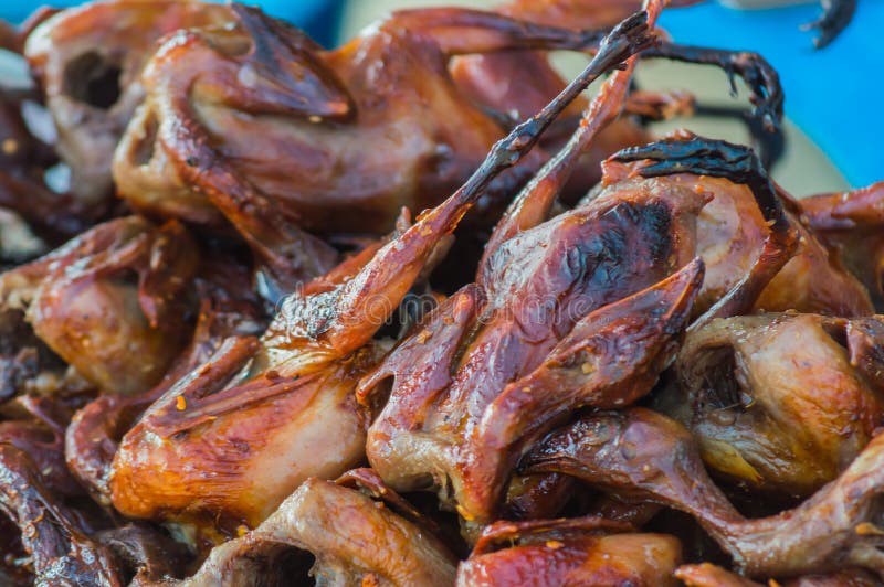 Perdiz asada a la parrilla foto de archivo. Imagen de grilled - 63884176