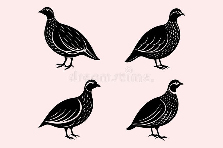 Partridge Silhouette Stock Illustrations – 144 Partridge Silhouette ...