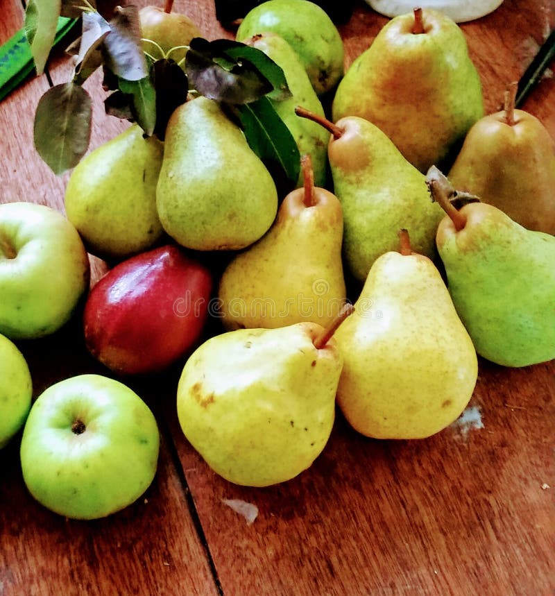 Pere fotografia stock. Immagine di estate, dolce, pere - 122384120