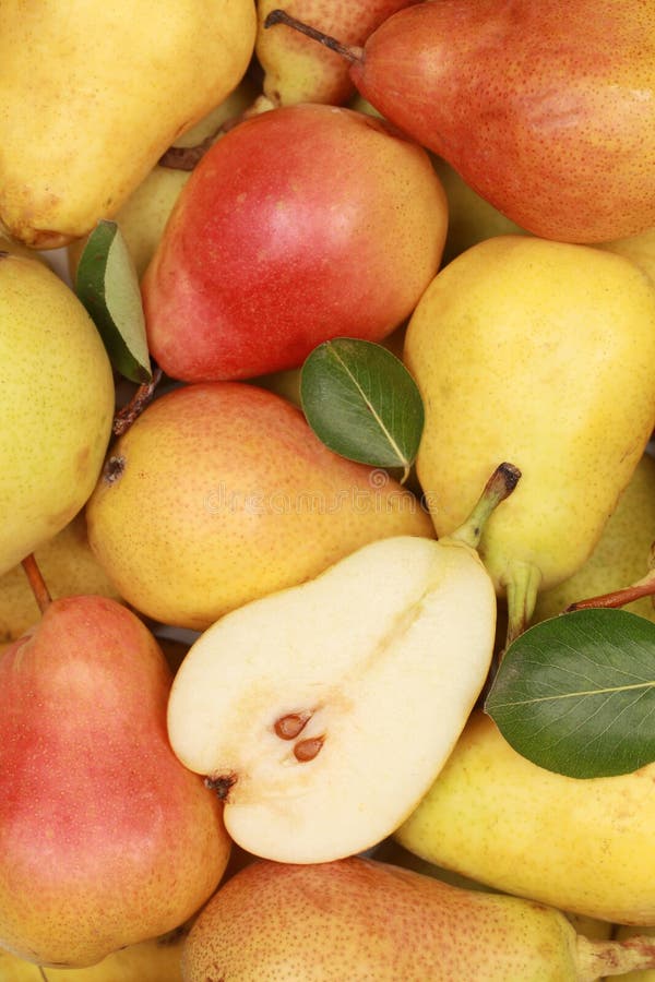 Pere immagine stock. Immagine di dolce, frutte, foglio - 26342015