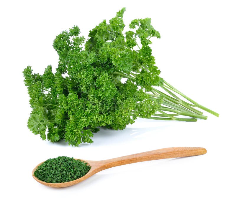 Perejil Secado Aislado En Blanco Imagen de archivo - Imagen de blanco ...
