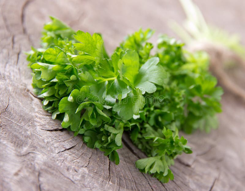 Perejil fresco imagen de archivo. Imagen de crudo, perejil - 30571759