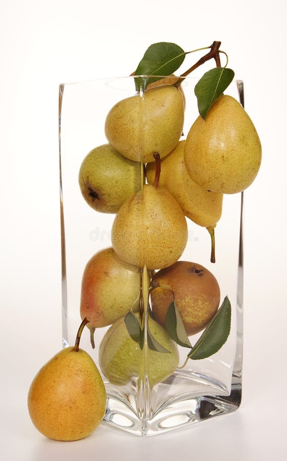 Peren stock foto. Image of stam, blad, geel, groen, voedsel - 11148580