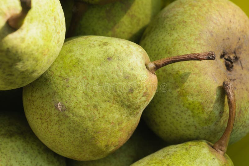 Peren stock afbeelding. Image of nave, peer, boom, voedsel - 28651663