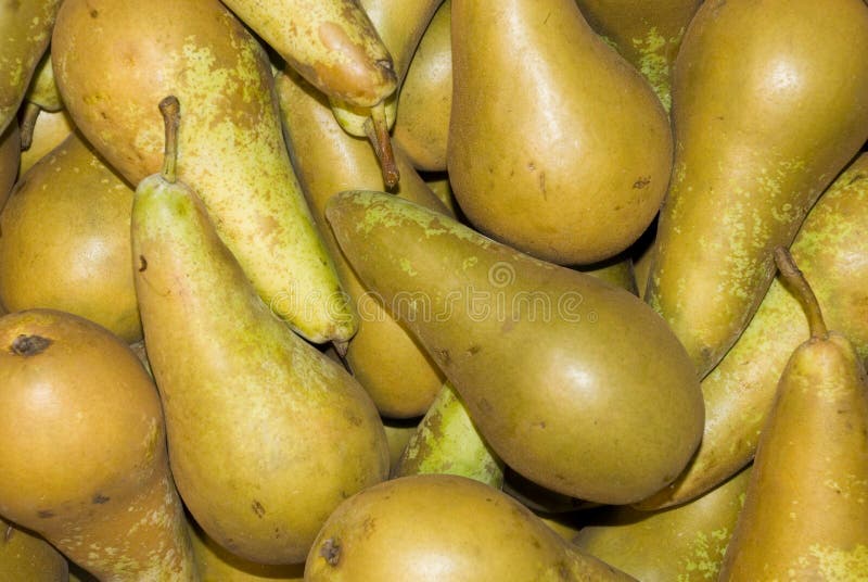 Peren stock foto. Image of voorwerp, vrucht, gedeelte - 7295280