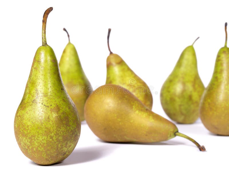 Peren stock afbeelding. Image of seizoengebonden, naughty - 273479