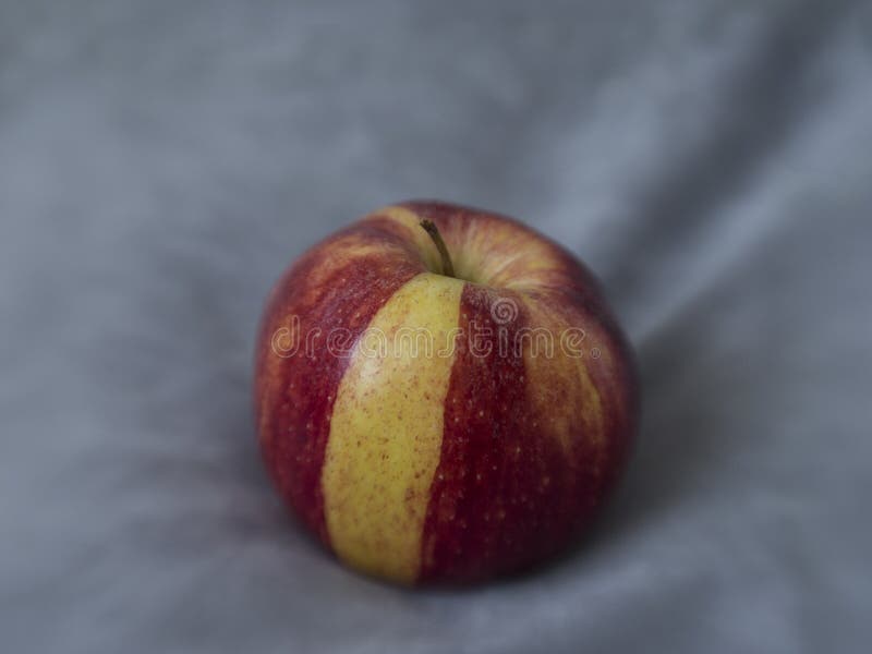 Perfect apple stock photo. Image of delicate, fresh, christmas - 80566634