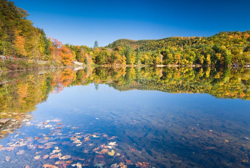 Perfect Autumn Lakeside Scenery Stock Photo - Image of october, beauty ...