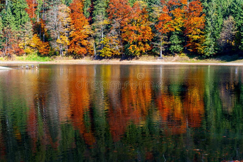 Perfect Autumn Tree Reflections in Lake Stock Image - Image of october ...