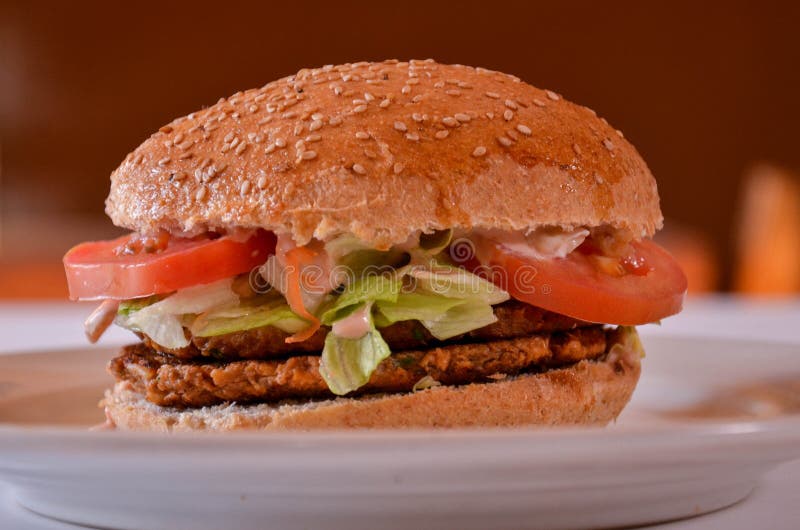 The Perfect Basic Burger stock photo. Image of gourmet - 223659692