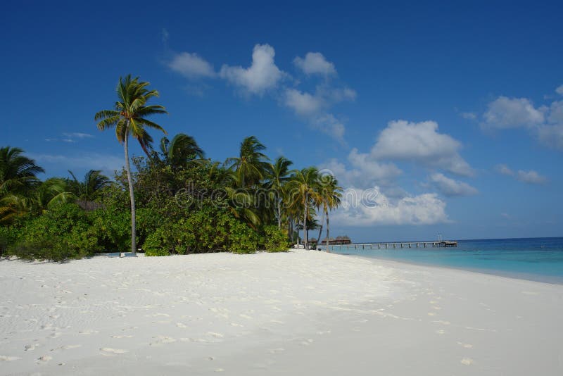 The perfect beach stock image. Image of beach, shadow - 3764733