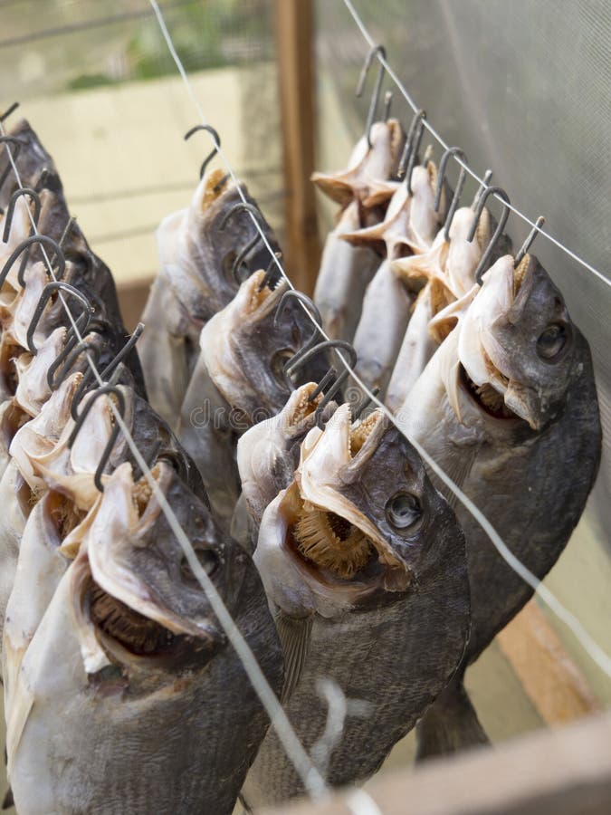 Perfect Beer Snack - Dried Sea Fish in the Process of Cooking Stock ...