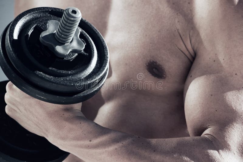 The Perfect Bicep. a Close Up of a Muscular Man Lifting Weights. Stock ...