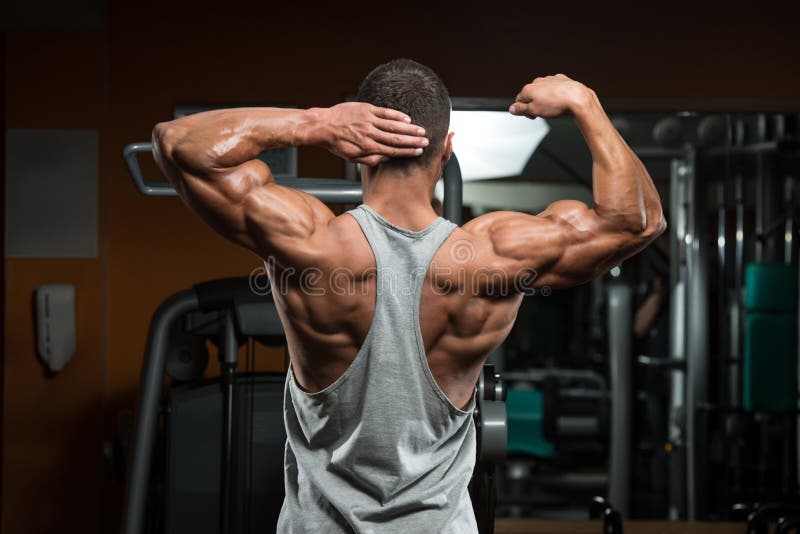 Perfect Biceps stock image. Image of body, muscle, relaxation - 41170211