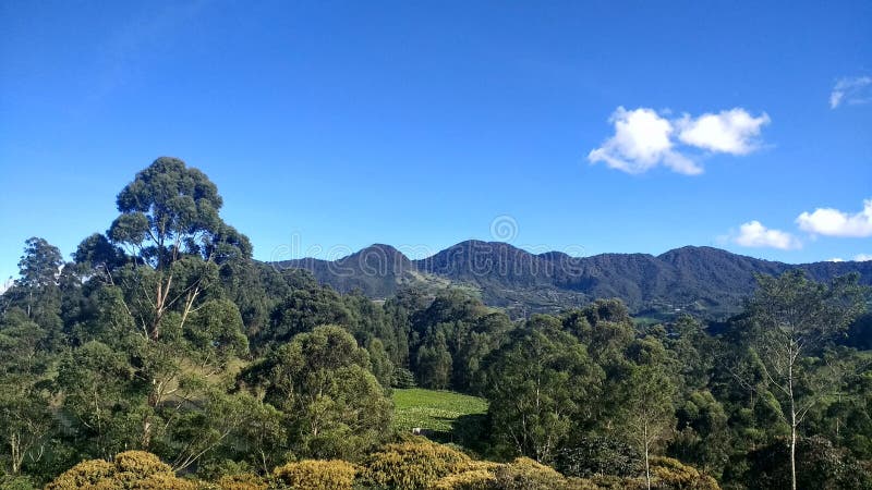 Perfect blue skyview stock photo. Image of valley, perfect - 137866070