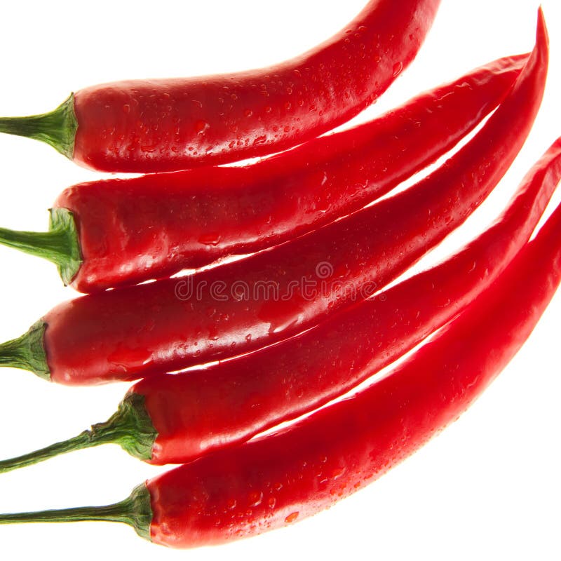 Perfect Chilli on White Background Stock Image - Image of restaurant ...