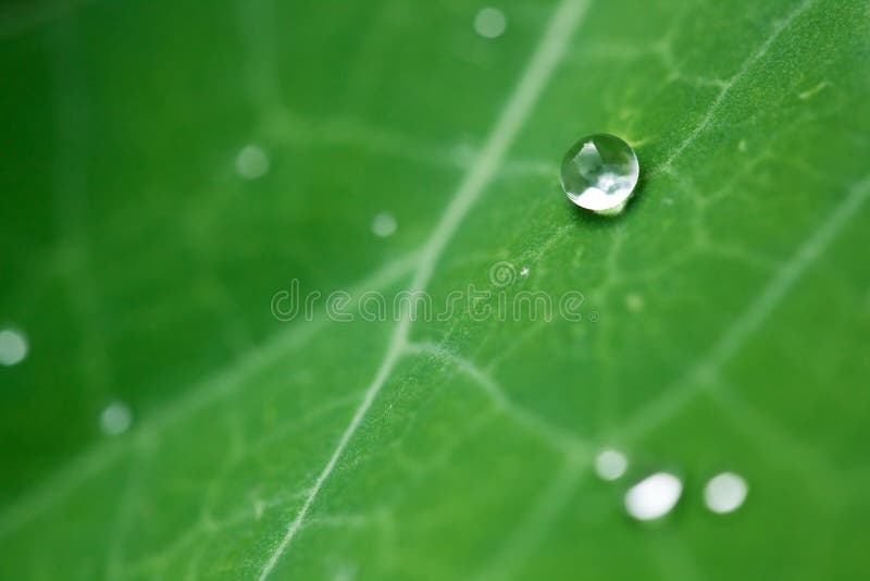 A perfect circle stock photo. Image of close, abstract - 15336036