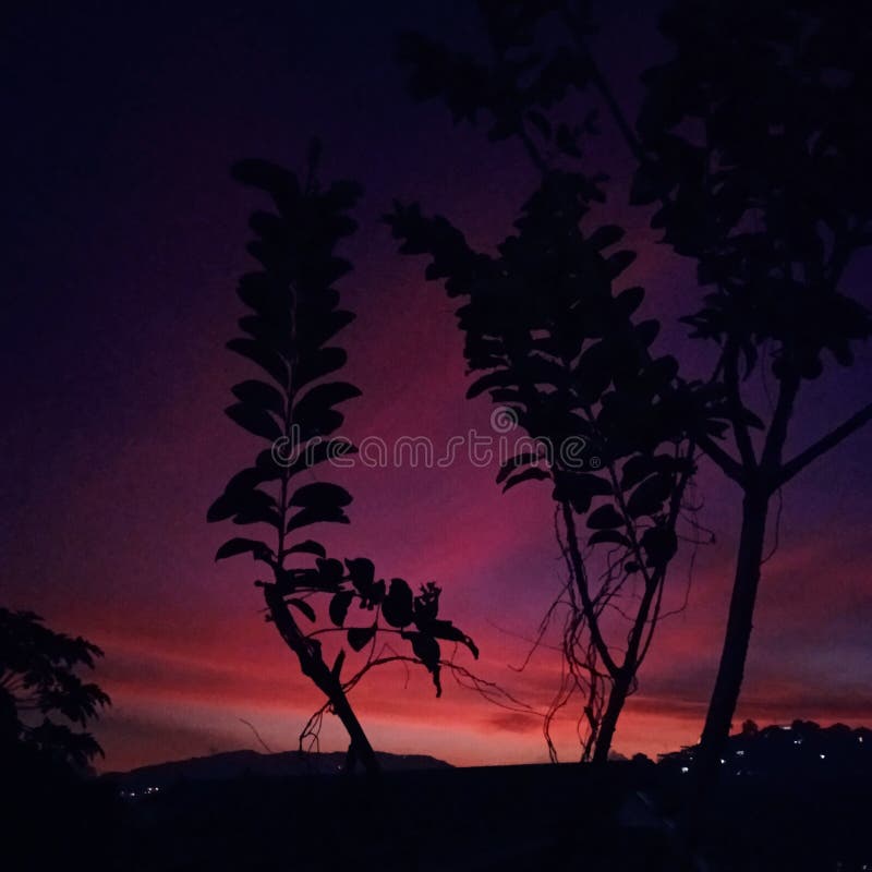 Perfect closing stock photo. Image of epic, closing - 263296432