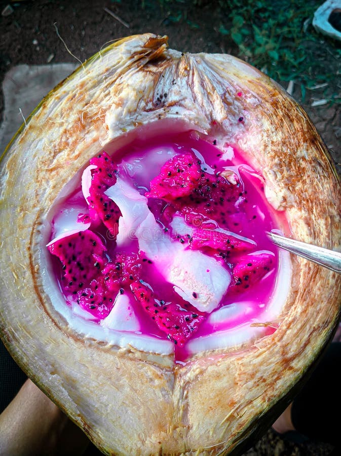 A Perfect Combination of Young Coconut and Dragon Fruit Stock Photo ...