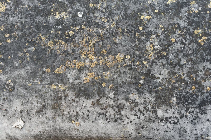 Perfect Concrete Wall Surface Texture Stock Image - Image of ...