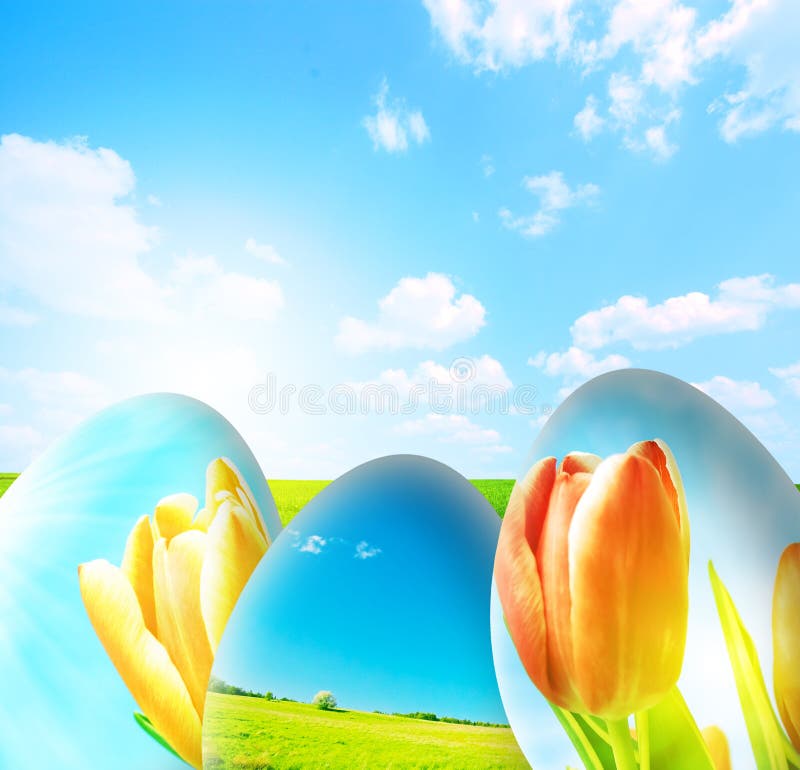 Colorful Easter Eggs on Sunny Beach Stock Photo - Image of easter ...