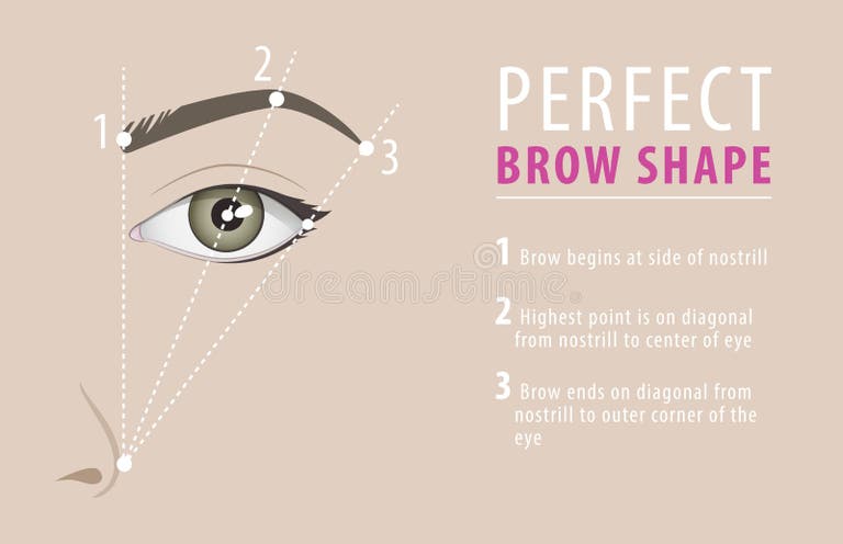 Eyebrow Stencil Stock Illustrations – 259 Eyebrow Stencil Stock ...