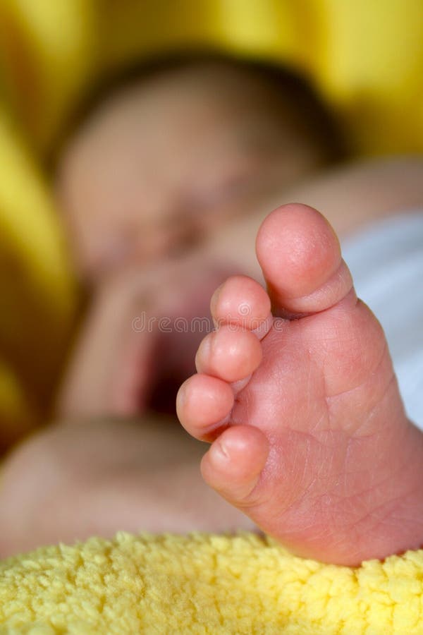 Perfect foot stock image. Image of toes, body, detail - 34435505