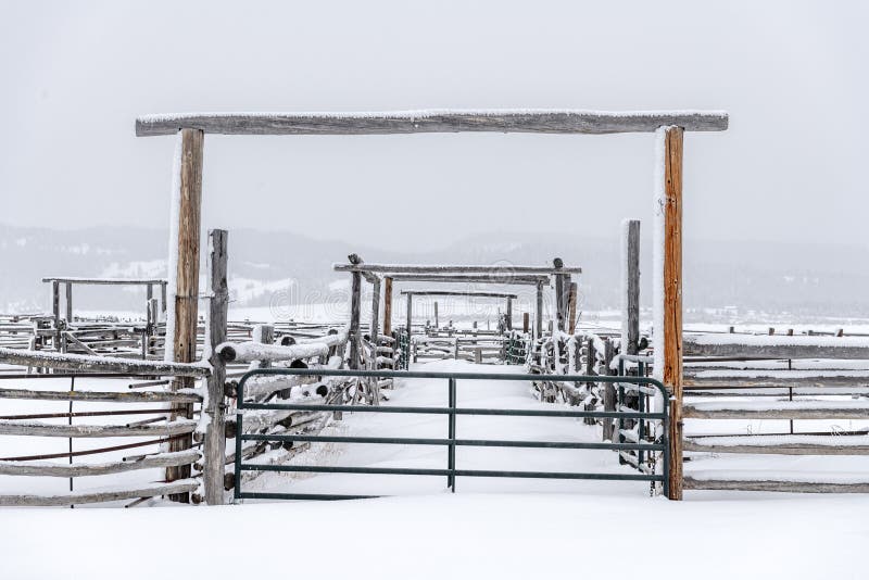 Perfect Frame Corral Posts Lines Up in Rows Stock Image - Image of ...