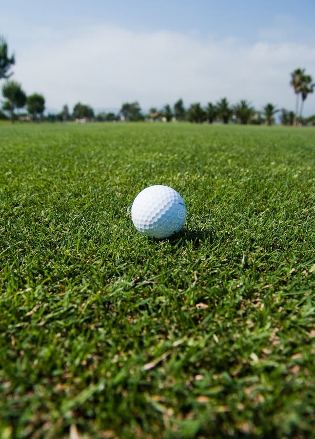Golfing stock photo. Image of golf, play, green, haven - 196190