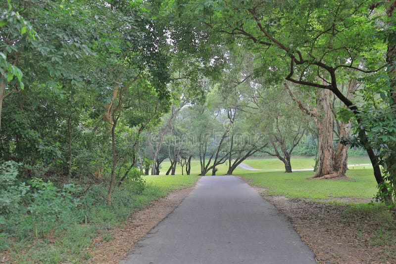 A Perfect Grass Golf Course Field Hk Stock Image - Image of walk, world ...