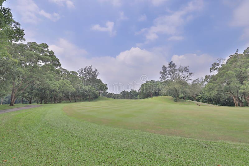 Perfect Grass Golf Course Field at Hk Stock Photo - Image of life, club ...