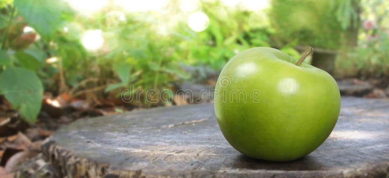 Perfect Green Apple Isolated. Full Depth of Field with Clipping Path ...