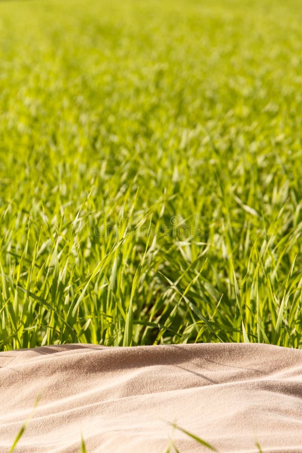 Perfect Green Background by the Fresh Grass Stock Photo - Image of ...