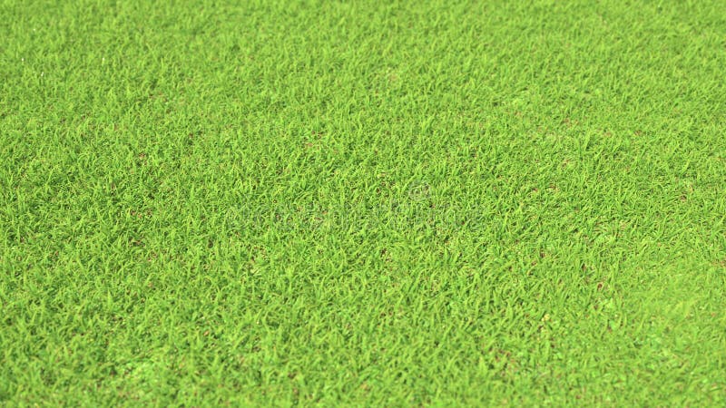Perfect Green Grass Lawn View Stock Image - Image of golf, green: 187803661