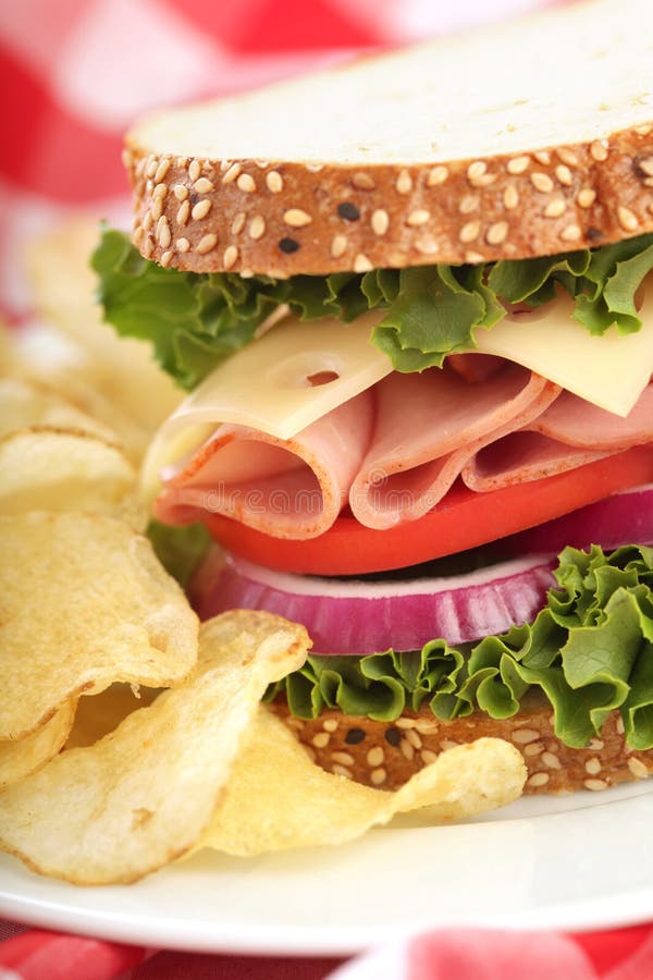 Perfect Ham and Cheese Sandwich Stock Photo - Image of hoagie, onion ...